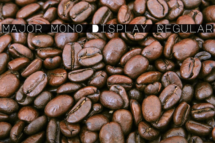 Major Mono Display Regular Font - FFonts.net