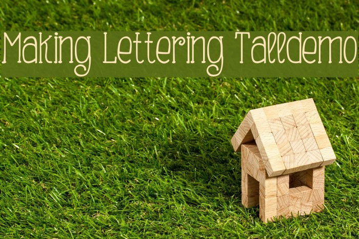Making Lettering Tall_demo Font - FFonts.net