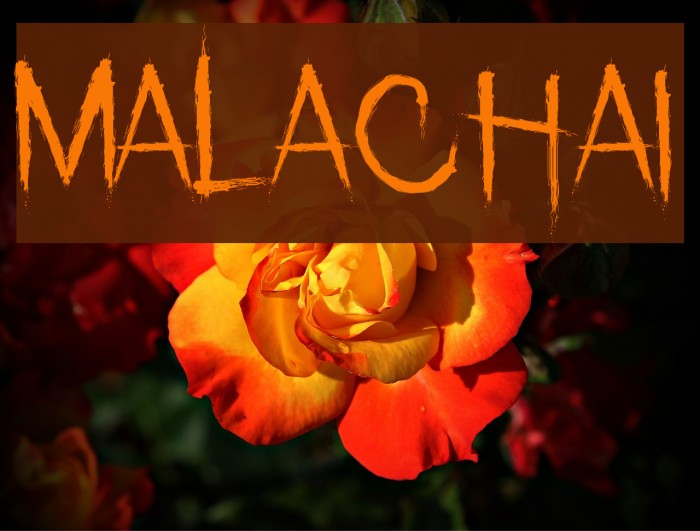 Malachai Font - FFonts.net