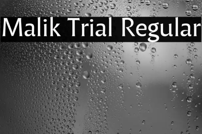 Malik Trial Regular Font | Free Download (TTF/OTF) | FFonts.net
