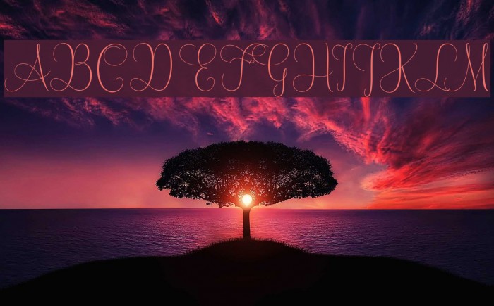 MallowScript Font - FFonts.net