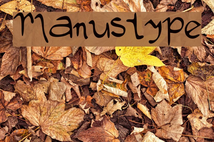 Manustype Font - FFonts.net