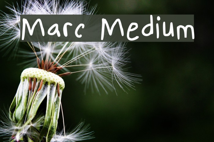 Marc Medium Font - FFonts.net