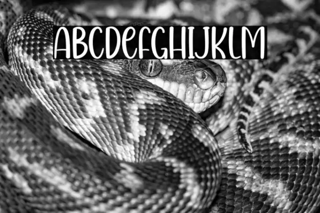 Mardi Gras Font | Free Download (TTF/OTF) | FFonts.net