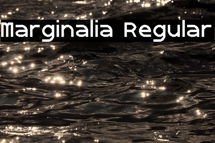 Marginalia Regular Font - FFonts.net