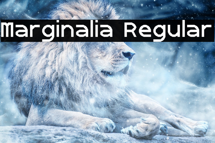 Marginalia Regular Font - FFonts.net
