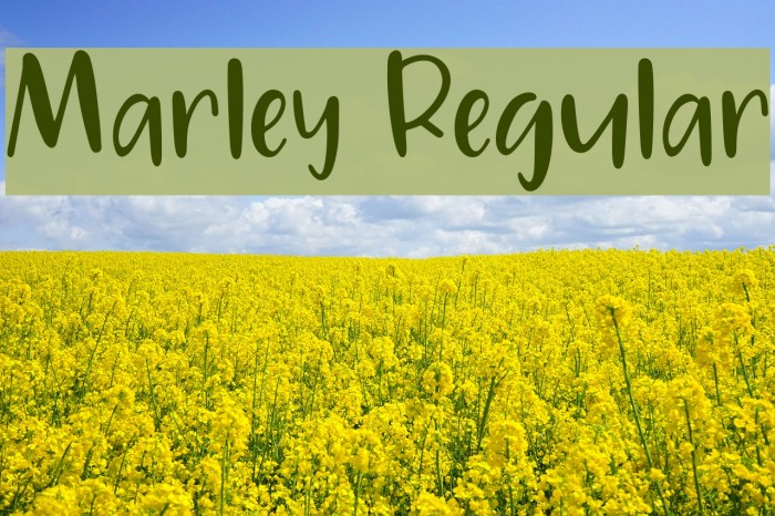 Marley Regular Font - FFonts.net