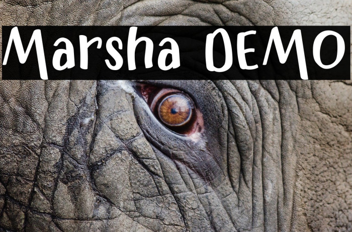Marsha DEMO Font - FFonts.net
