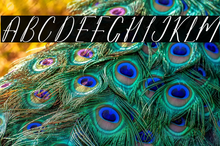 Marstezio DEMO VERSION Font | Free Download (TTF/OTF) | FFon