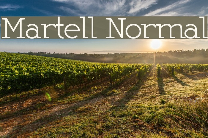 Martell Normal Font - FFonts.net