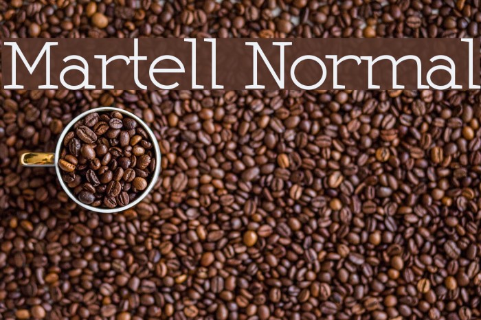 Martell Normal Font - FFonts.net