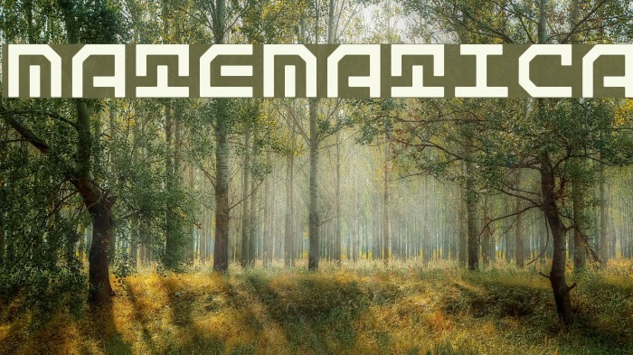 Matematica Font - FFonts.net
