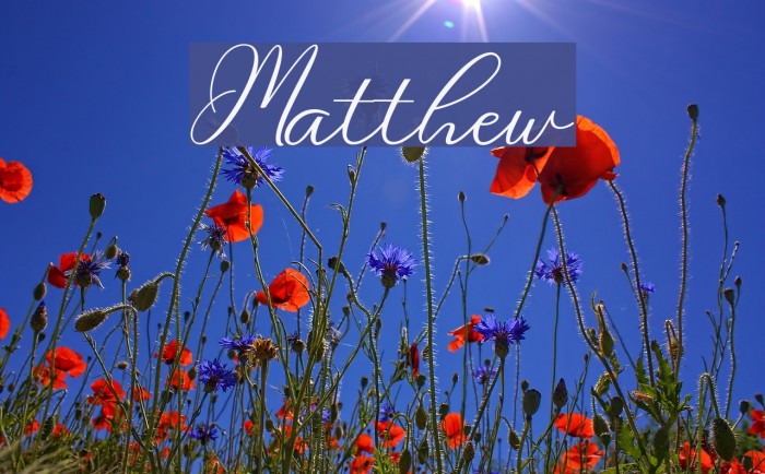 Matthew Font - FFonts.net