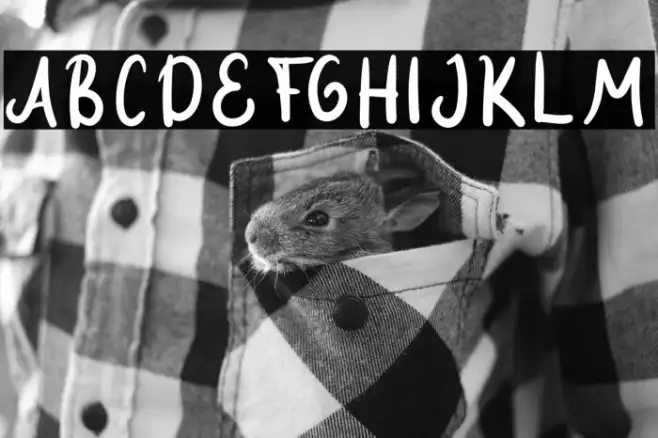 Maula Beloved Font - Free Download (TTF/OTF) | FFonts.net