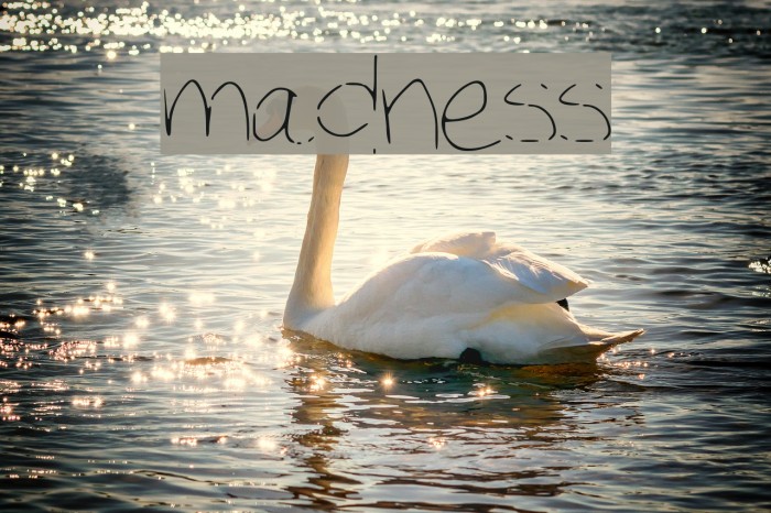 madness Font - FFonts.net