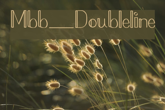 Mbb_Doubleline Font - FFonts.net