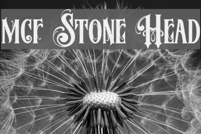 MCF Stone Head Font | Free Download (TTF/OTF) | FFonts.net
