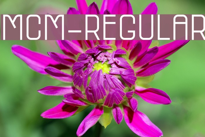 MCM-Regular Font - FFonts.net