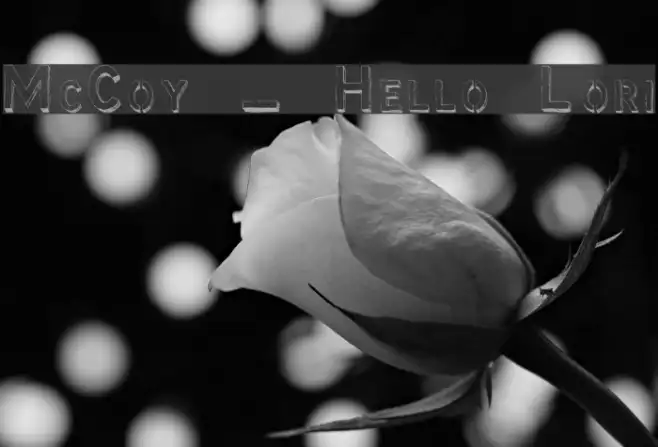 McCoy - Hello Lori Font | Free Download (TTF/OTF) | FFonts.net