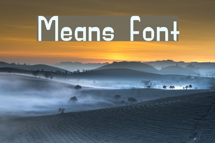 Means Font - FFonts.net