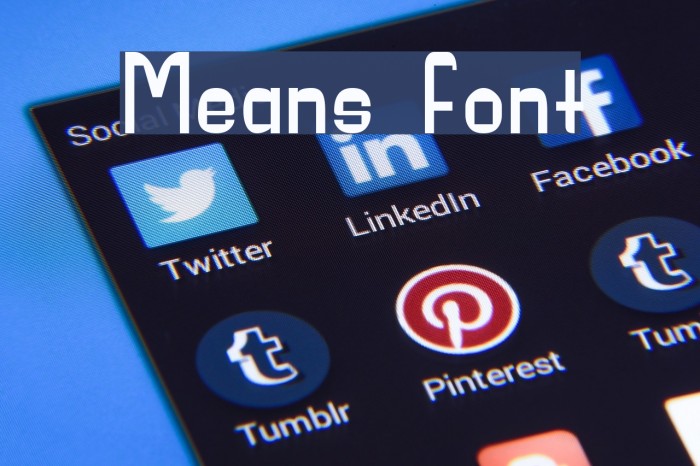 Means Font - FFonts.net