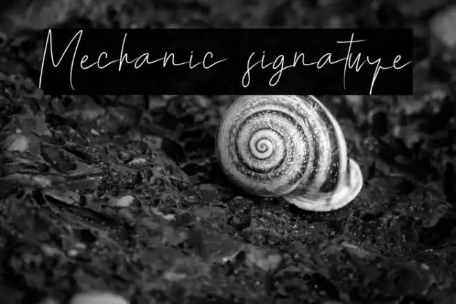 Mechanic signature Font | Free Download (TTF/OTF) | FFonts.net