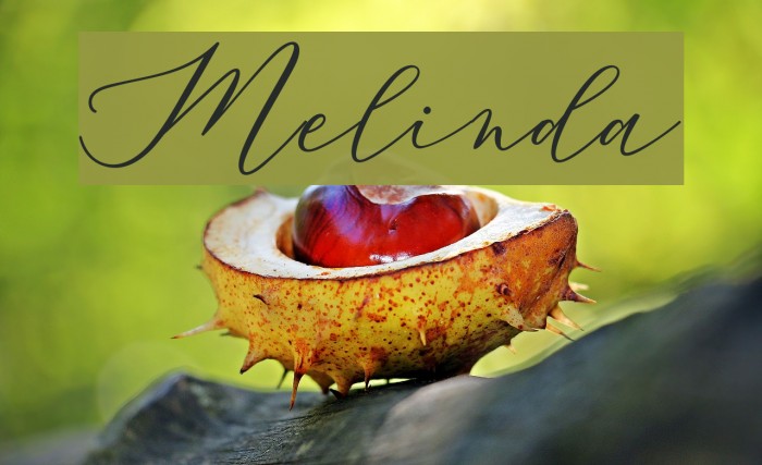 Melinda Font - FFonts.net