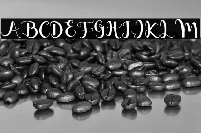 Melisha Putri Font - Free Download (TTF/OTF) | FFonts.net