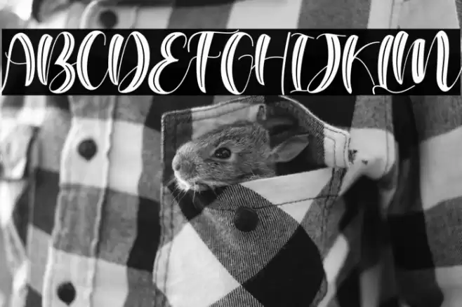 Melisha Font - Free Download (TTF/OTF) | FFonts.net