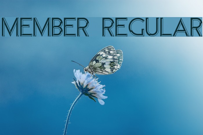 Member Regular Font - FFonts.net