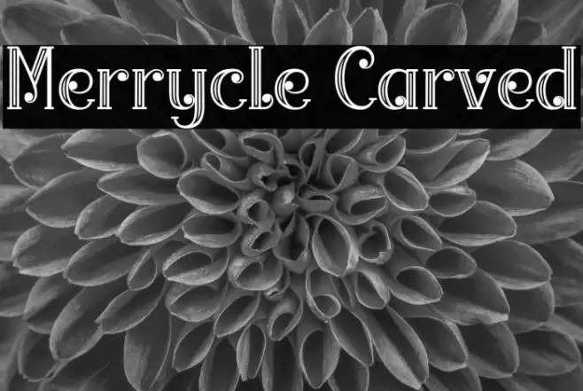 Merrycle Carved Font - Free Download (TTF/OTF) | FFonts.net