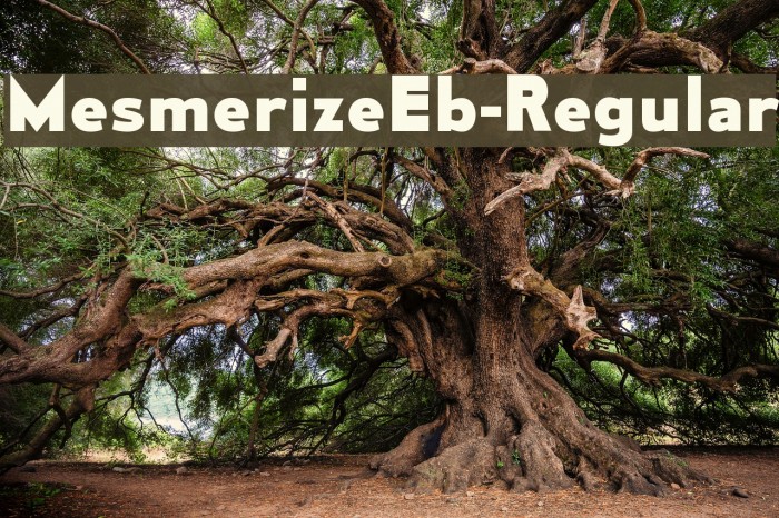 MesmerizeEb-Regular Font - FFonts.net
