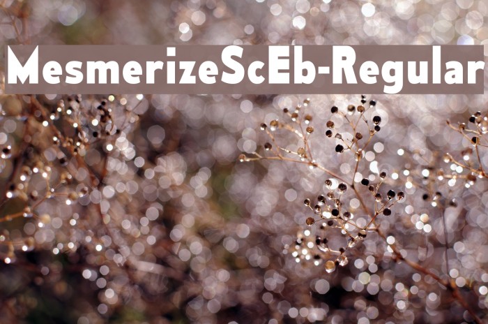 MesmerizeScEb-Regular Font - FFonts.net