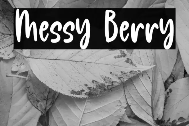 Messy Berry Font | Free Download (TTF/OTF) | FFonts.net