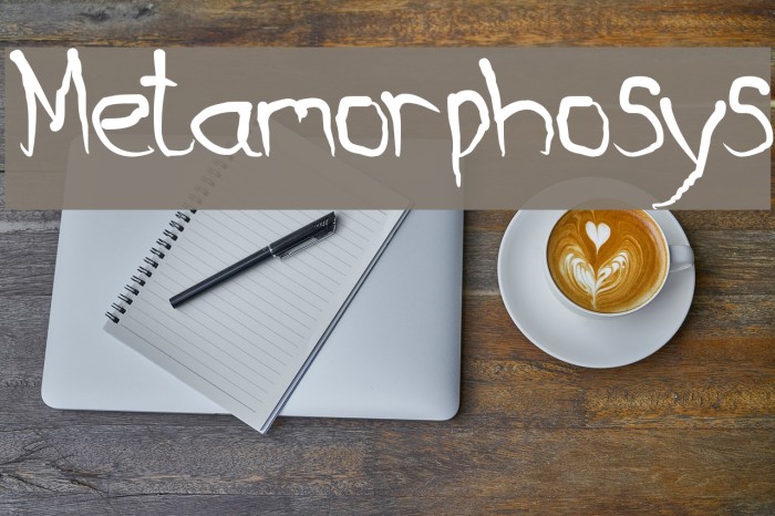 Metamorphosys Font - FFonts.net