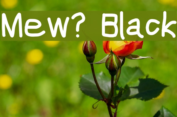 Mew? Black Font - FFonts.net