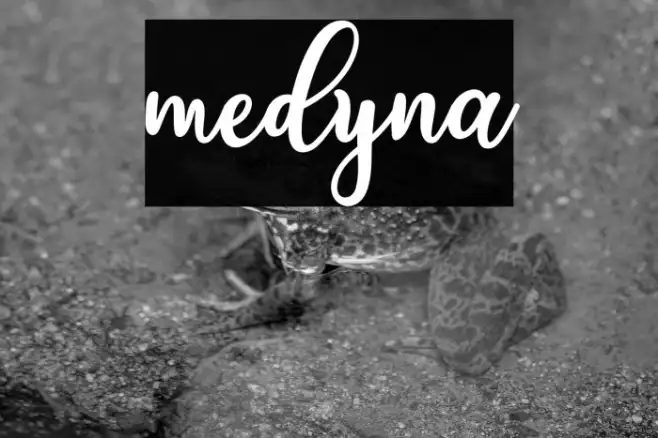 medyna Font | Free Download (TTF/OTF) | FFonts.net
