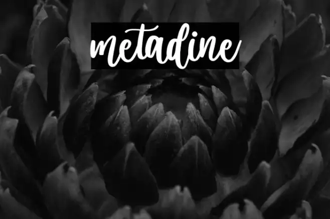 metadine Font | Free Download (TTF/OTF) | FFonts.net