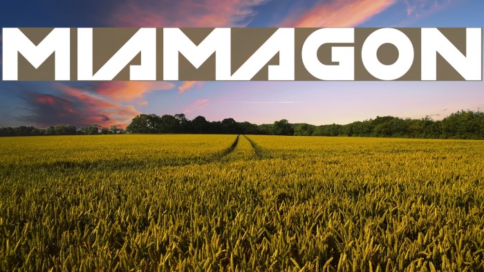 Miamagon Font - FFonts.net