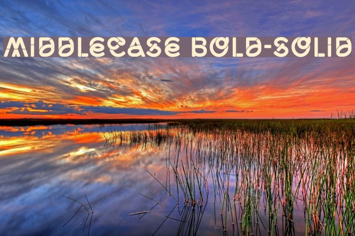 Middlecase Bold-Solid Font - FFonts.net