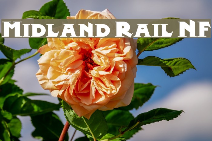 Midland Rail NF Font - FFonts.net