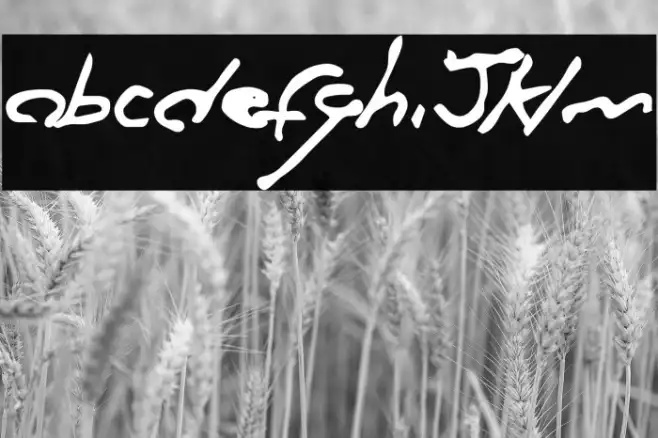Milwaukee Cannibal Font | Free Download (TTF/OTF) | FFonts.net