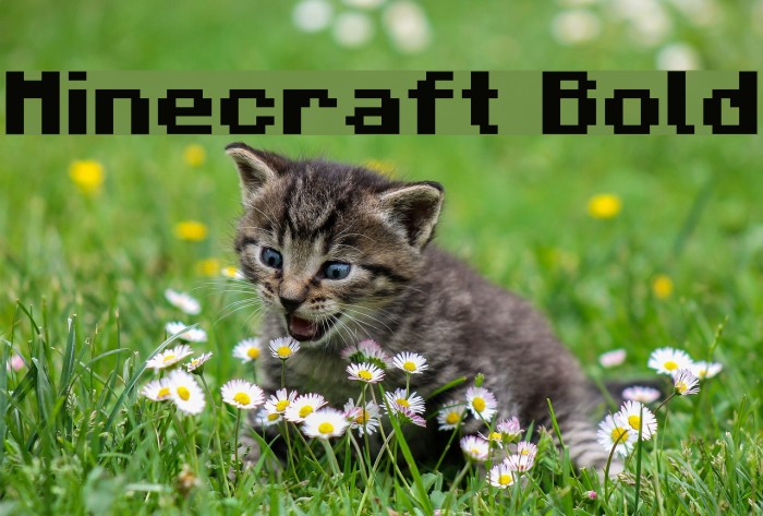 Minecraft Bold Font - FFonts.net