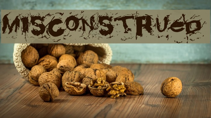 Misconstrued Font - FFonts.net