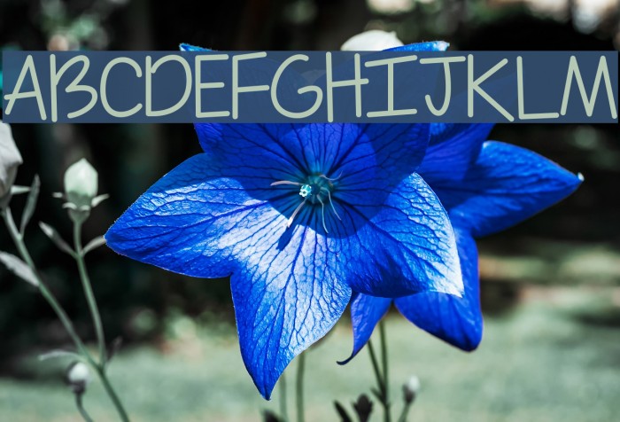 MissIssippi Font - FFonts.net