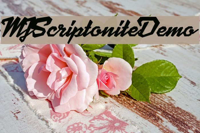 MJScriptoniteDemo Font - FFonts.net