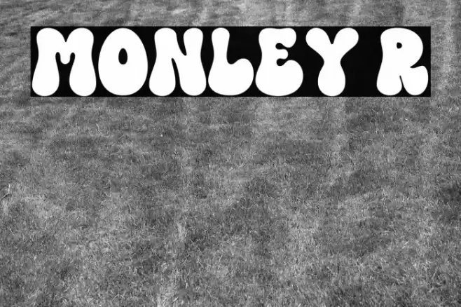 MONLEY Regular Font | Free Download (TTF/OTF) | FFonts.net