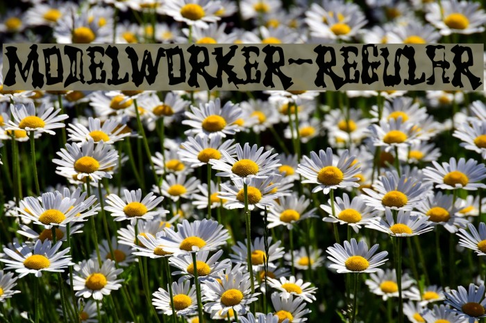ModelWorker-Regular Font - FFonts.net