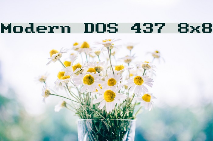 Modern DOS 437 8x8 Font - FFonts.net