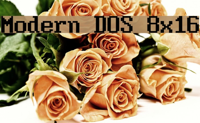 Modern DOS 8x16 Font - FFonts.net